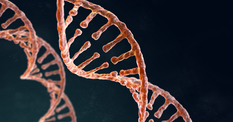 Innovative in Vitro Diagnostic Products Supplier - Sansure