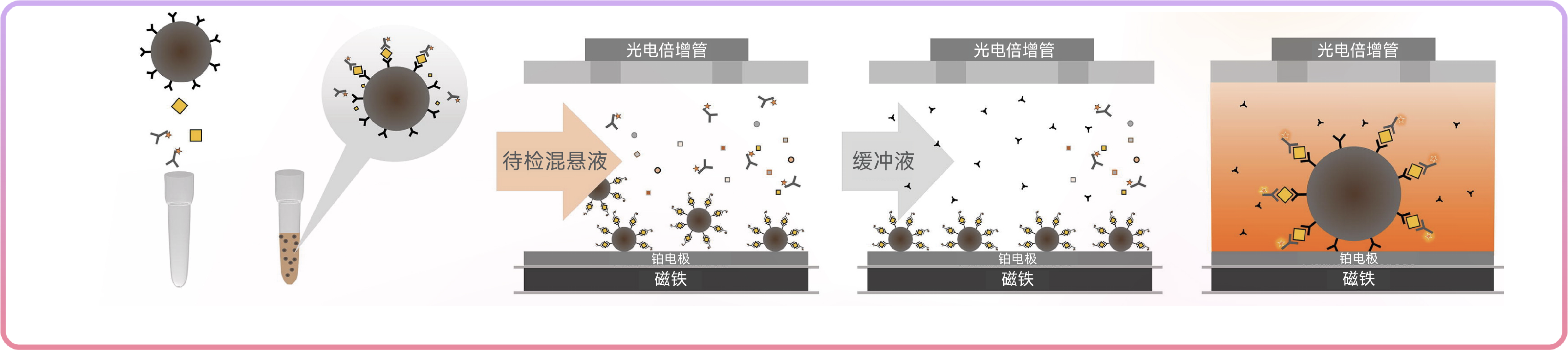 SANSURE - INNOVATING DIAGNOSTICS FOR ALL